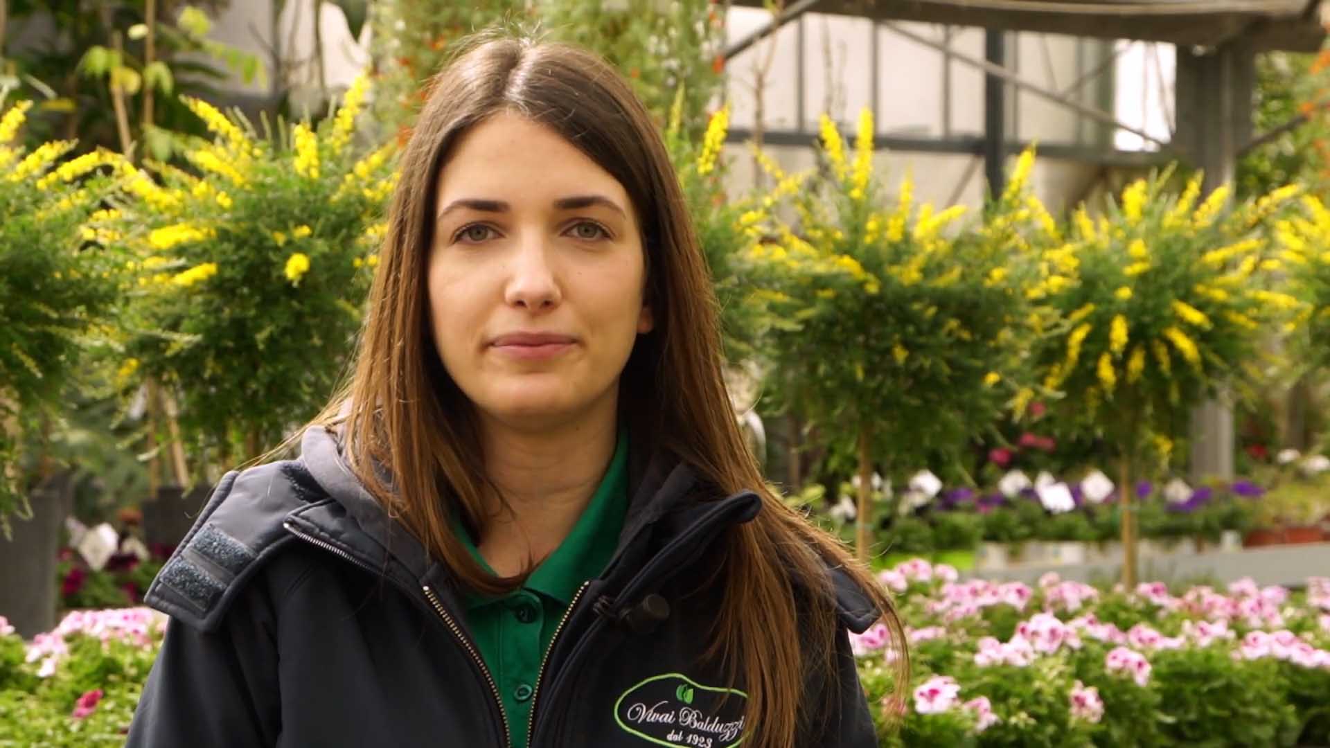 Flor Sistemi Srl - Sviluppo software per automatizzazione attività ...